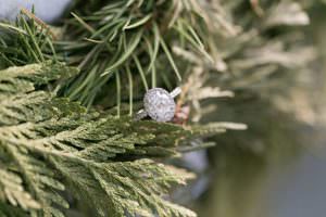 13 Festive Ring Shots for Winter Weddings - Love Inc. Mag