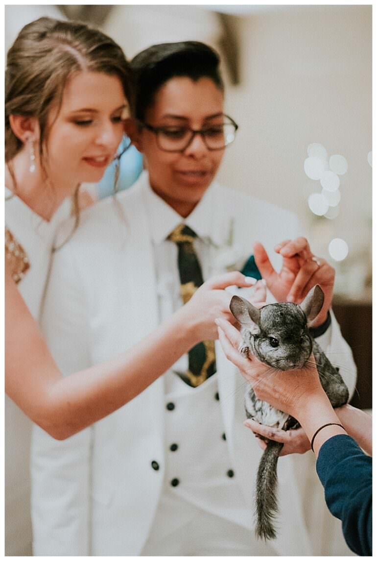 A DIY Wedding at the Zoo With Animals Galore! - Love Inc. Mag