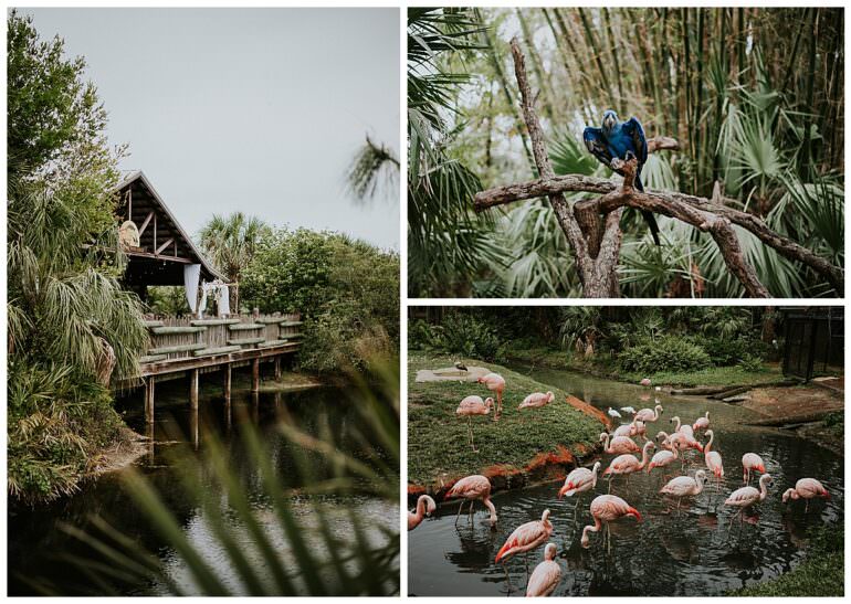 A DIY Wedding at the Zoo With Animals Galore! - Love Inc. Mag