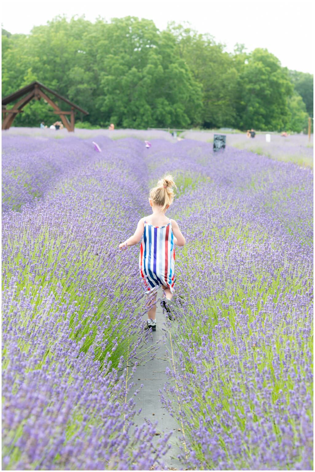 Lavender Farm Family Session - Love Inc. Mag