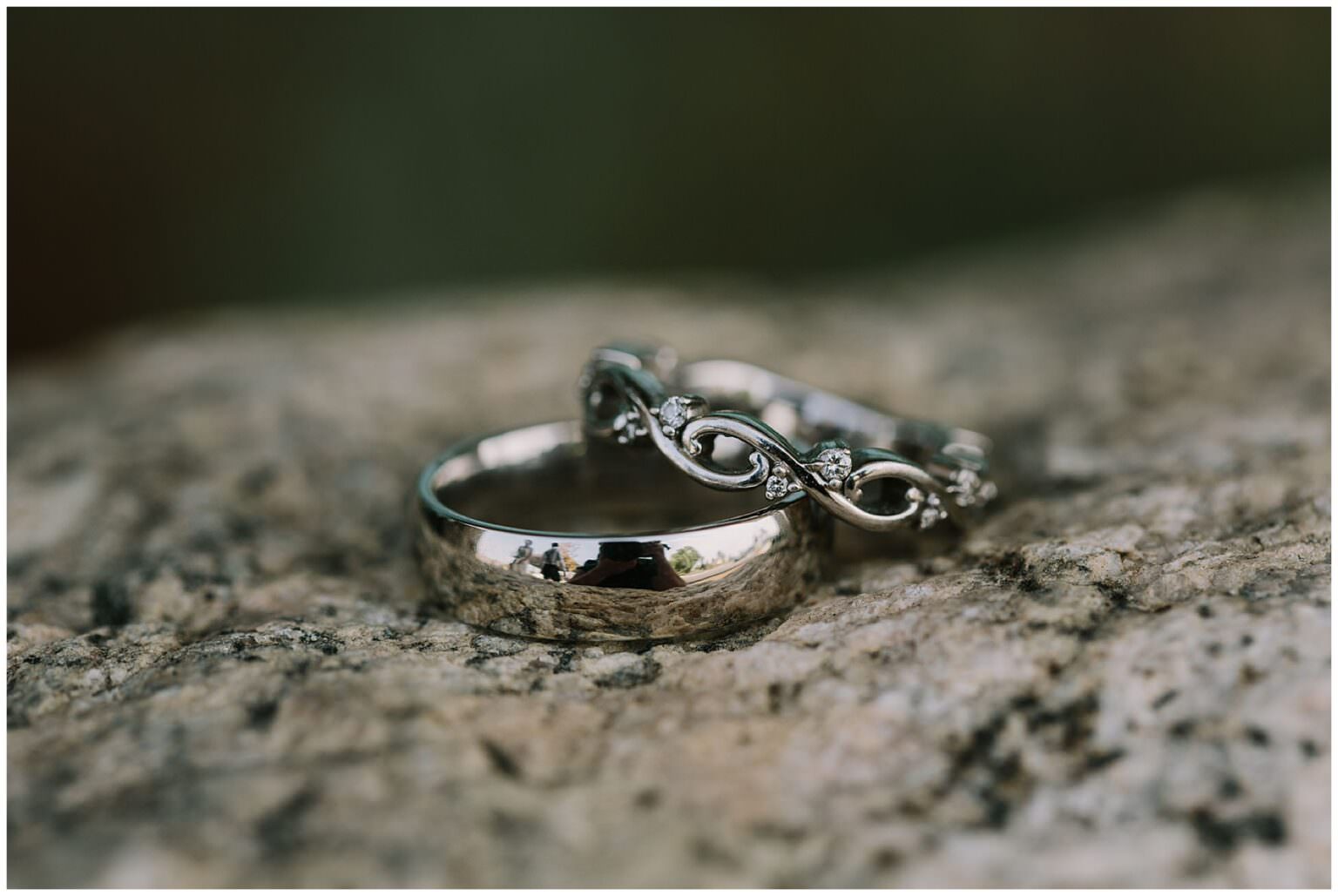 Sweet San Diego Elopement (With a Cute Kitty!) - Love Inc. Mag