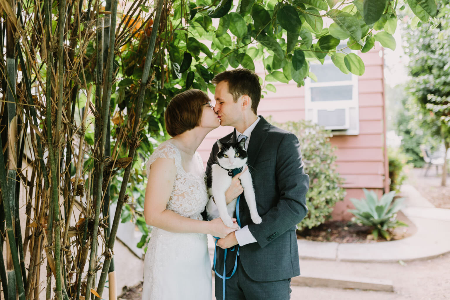 Sweet San Diego Elopement (With a Cute Kitty!) - Love Inc. Mag