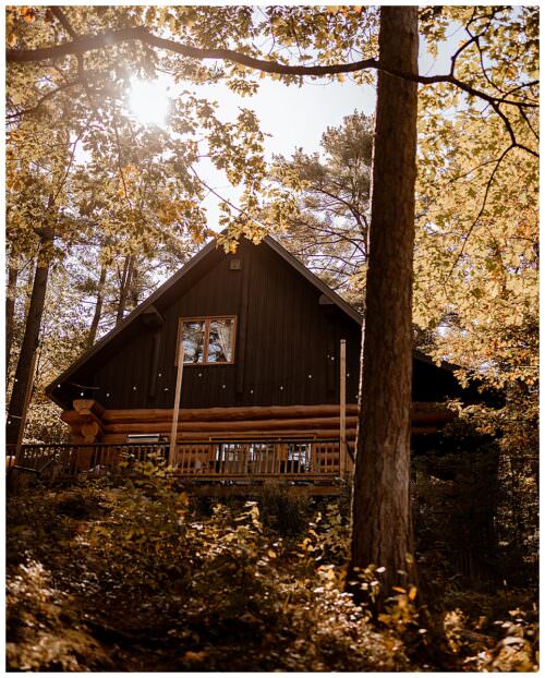 This Influencer Proposed to Her Girlfriend with a Cozy Picnic at a Cabin - Love Inc. Mag